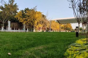 Uma área gramada com árvores e um edifício ao fundo.