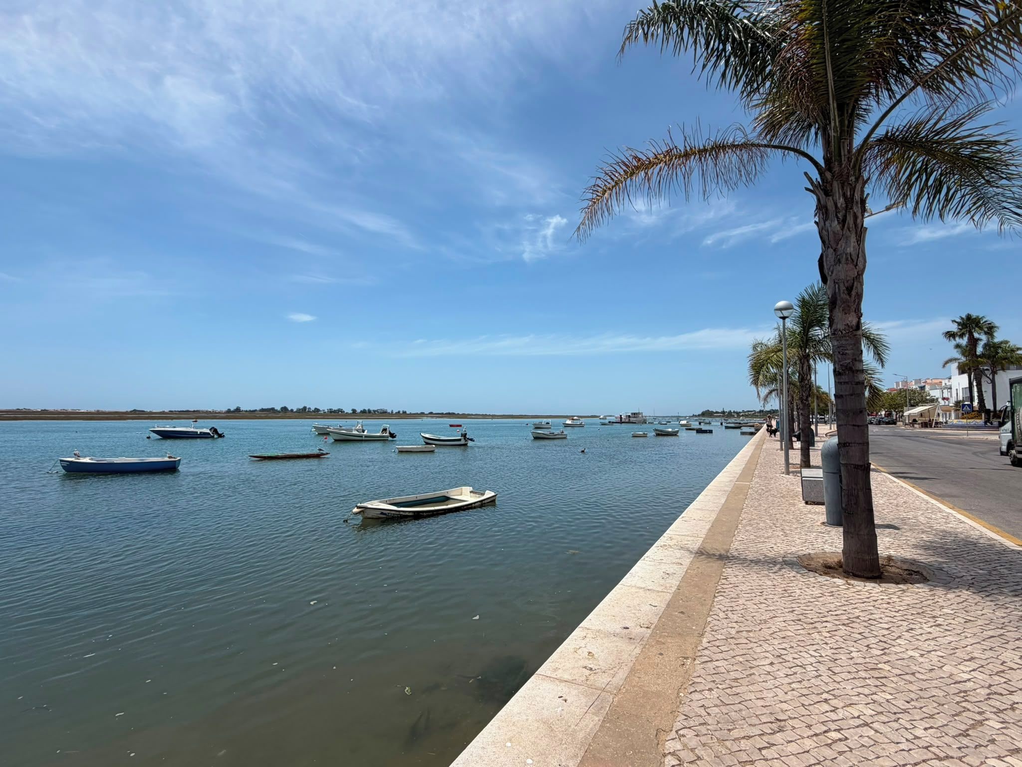 Orla marítima com barcos atracados, calçada pavimentada e palmeiras.