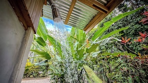Uma área externa coberta com um espelho d'água, cercada por vegetação exuberante e diversas plantas.