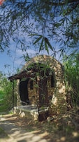 Estrutura de pedra com entrada coberta, rodeada por bambu e vegetação.