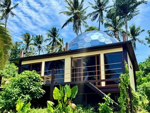 Um edifício moderno com grandes janelas, um telhado em forma de cúpula e rodeado por vegetação exuberante e palmeiras.