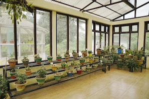 Uma estufa com várias janelas e prateleiras cheias de plantas em vasos.