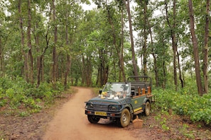 Um veículo todo-terreno verde estacionado em um caminho de terra em uma floresta.
