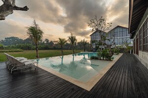 Piscina com deck de madeira, rodeada por plantas tropicais e um edifício moderno.