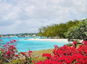 Paisagem costeira com uma praia, água azul cristalina e vegetação exuberante.