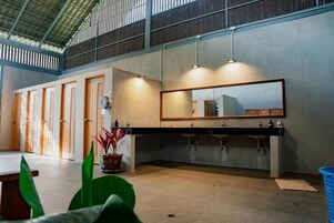 Casa de banho com um espelho grande, uma pia e uma planta num vaso.