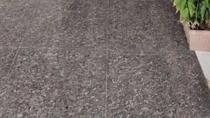 Um corredor com piso lustroso, um extintor fixado na parede e um vaso de planta à direita.