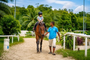Uma pessoa liderando um cavalo por uma trilha de terra, com uma cerca branca e vegetação ao fundo.