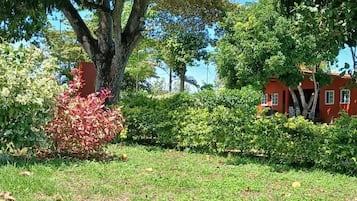 Um jardim com uma árvore grande, um edifício vermelho e diversos arbustos.