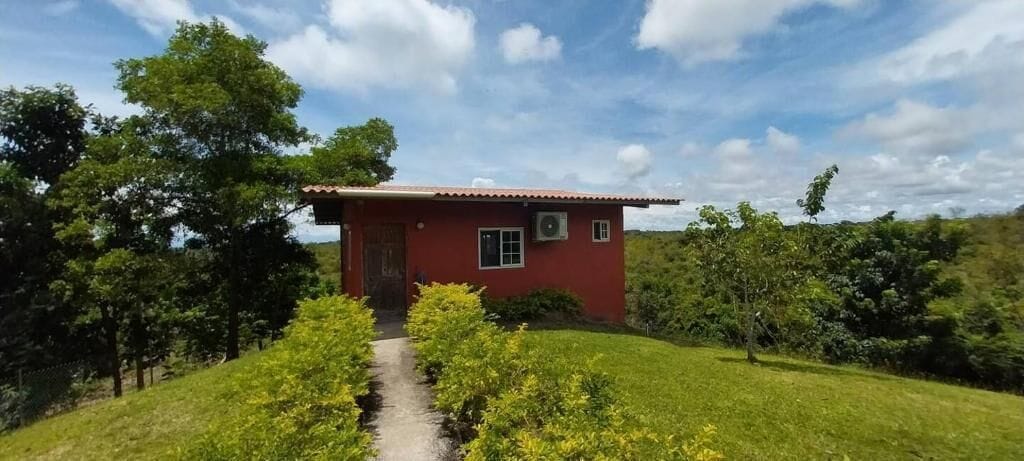 Uma casa térrea vermelha com telhado de cerâmica, rodeada por vegetação e árvores.