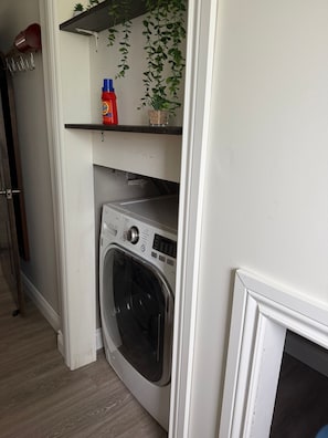 Uma lavanderia com máquina de lavar, prateleira com detergente e uma planta pendente.