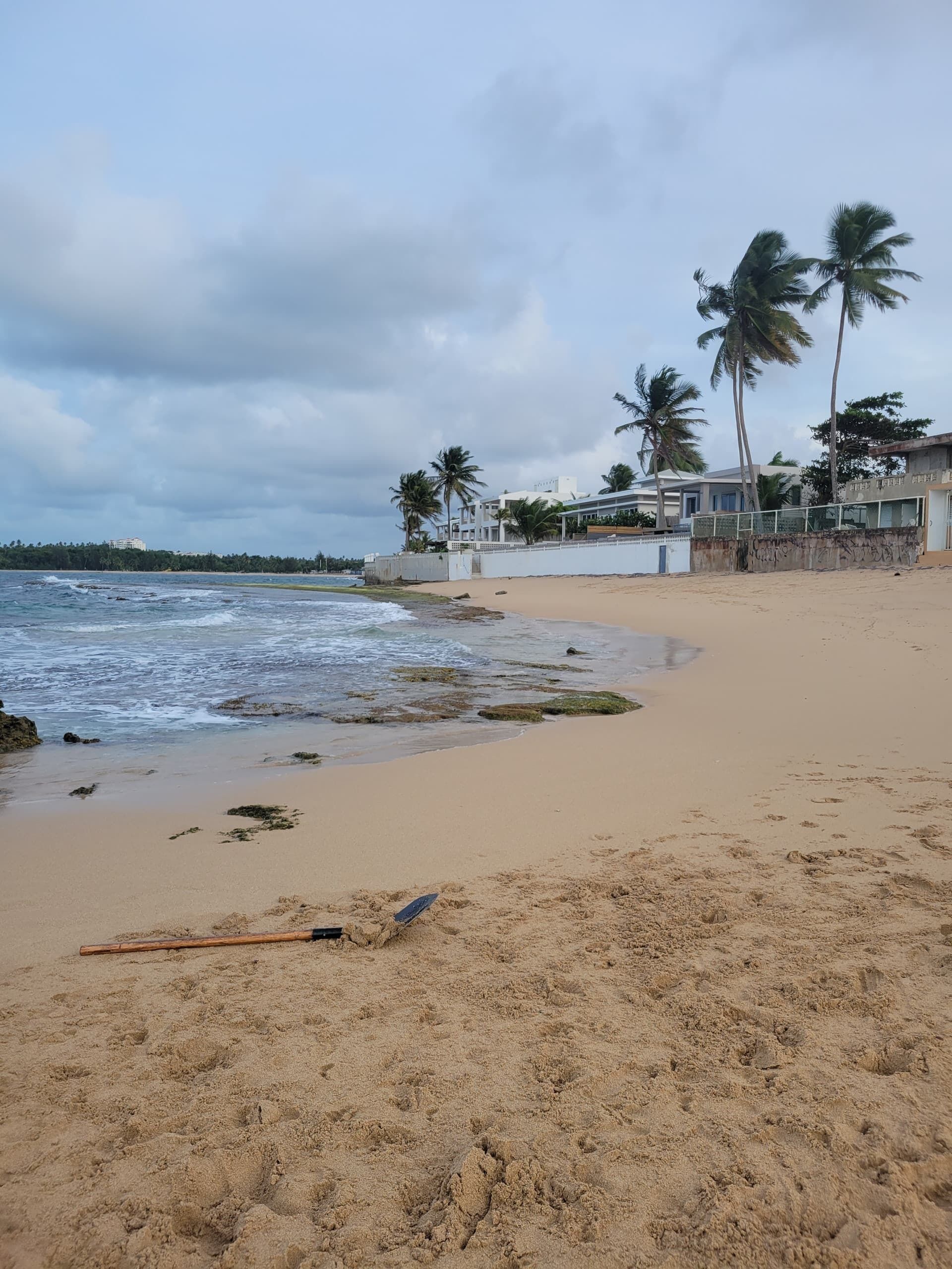 Uma praia arenosa com mar calmo, palmeiras e edifícios ao fundo.