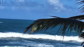 Uma praia com ondas e folhas de palmeira ao primeiro plano.