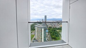 Vista da janela com moldura metálica, sobre a paisagem urbana com edifícios e rio.