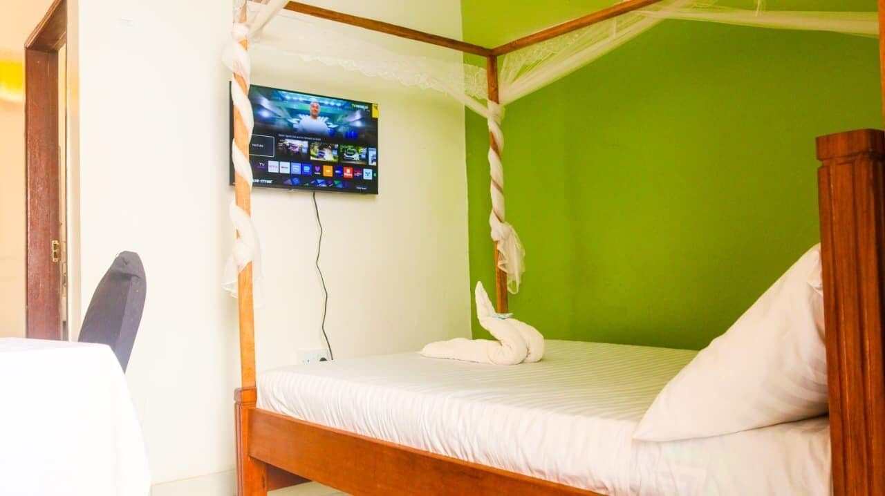 Uma cama de solteiro com estrutura de madeira e colchão branco, uma televisão fixada na parede e uma parede verde.