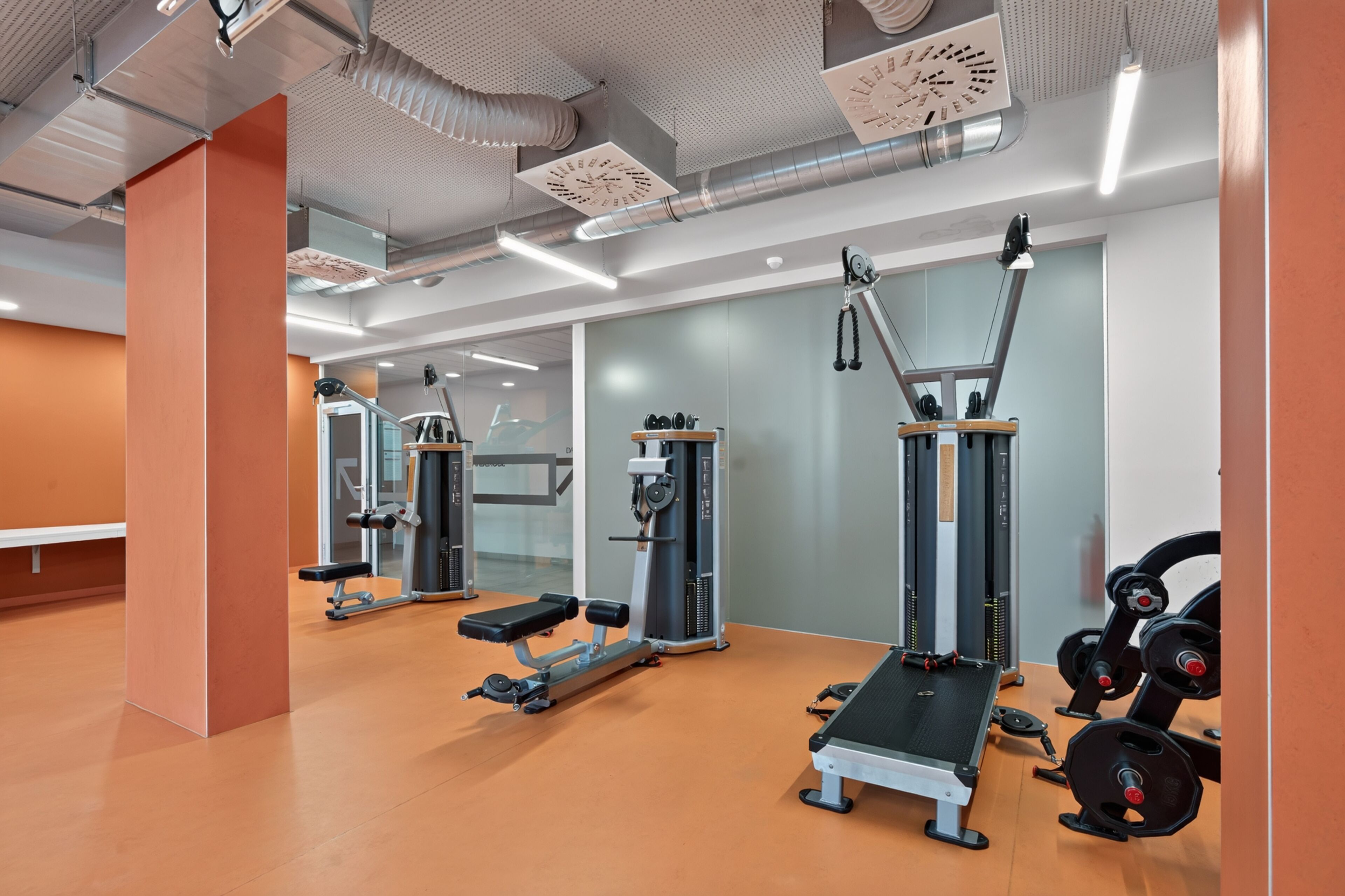 Academia moderna com diversos equipamentos de exercício, incluindo um banco de supino, máquina de cabo e racks de peso.