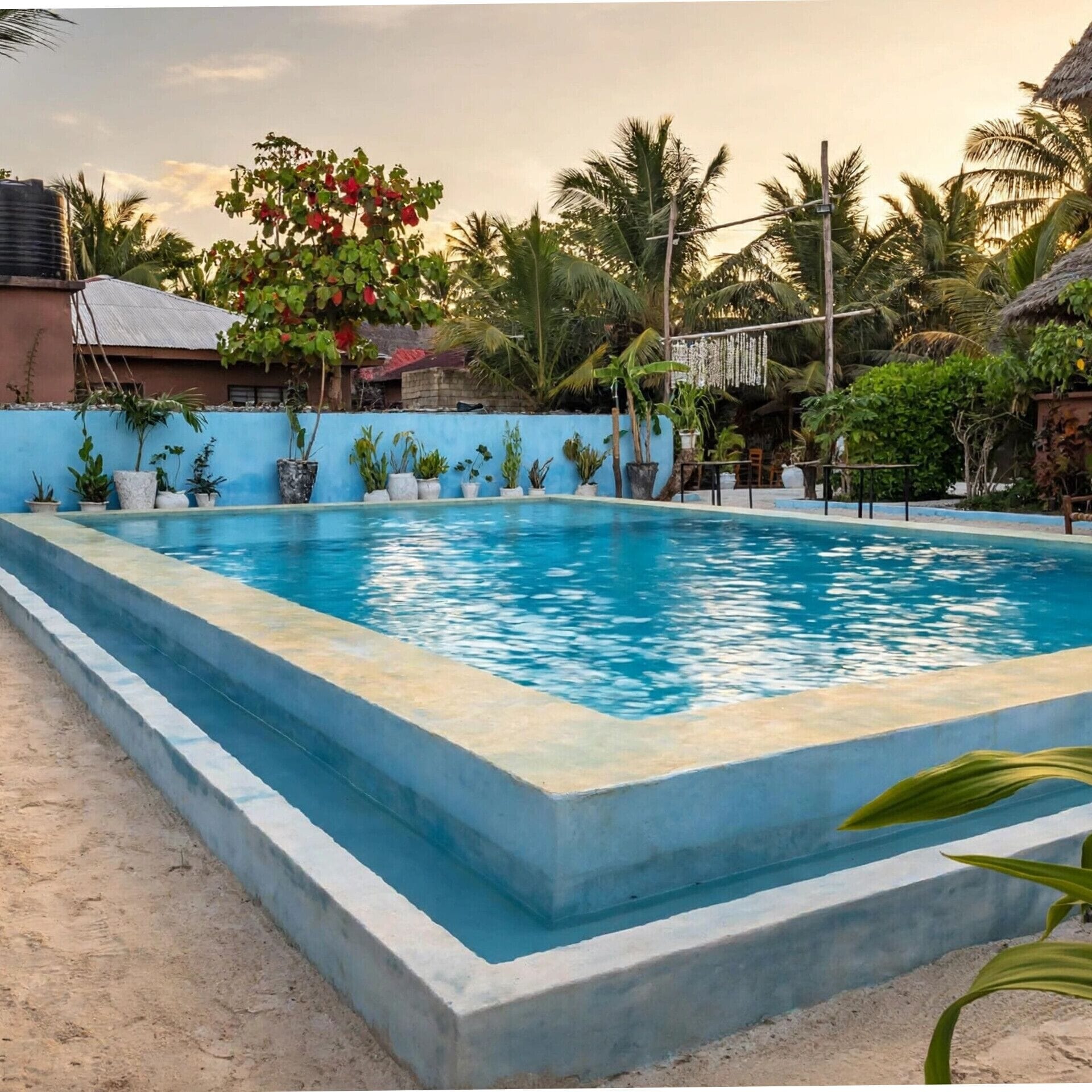 Piscina retangular com borda azul, rodeada por uma área arenosa e diversos vasos de plantas.