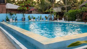 Piscina retangular com borda azul, rodeada por uma área arenosa e diversos vasos de plantas.