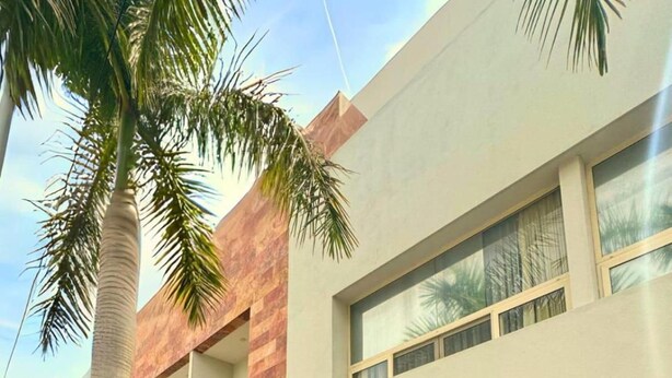 Um edifício moderno com fachada de vidro, uma palmeira e um jardim bem cuidado.