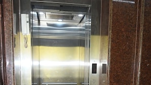 Elevador com visor digital, tapete verde na entrada e planta em vaso ao lado.