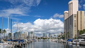 Marina com vários barcos atracados, cercada por edifícios altos e palmeiras.