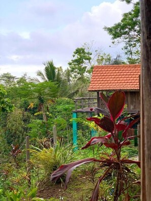 Uma estrutura de madeira rústica com telhado de telhas vermelhas, rodeada por vegetação exuberante e diversas plantas.