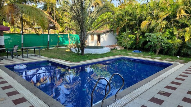 Piscina retangular com borda azulejada, rodeada por vegetação exuberante e palmeiras.