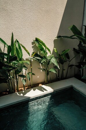 Piscina com água cristalina, rodeada por plantas verdes e uma parede texturizada.