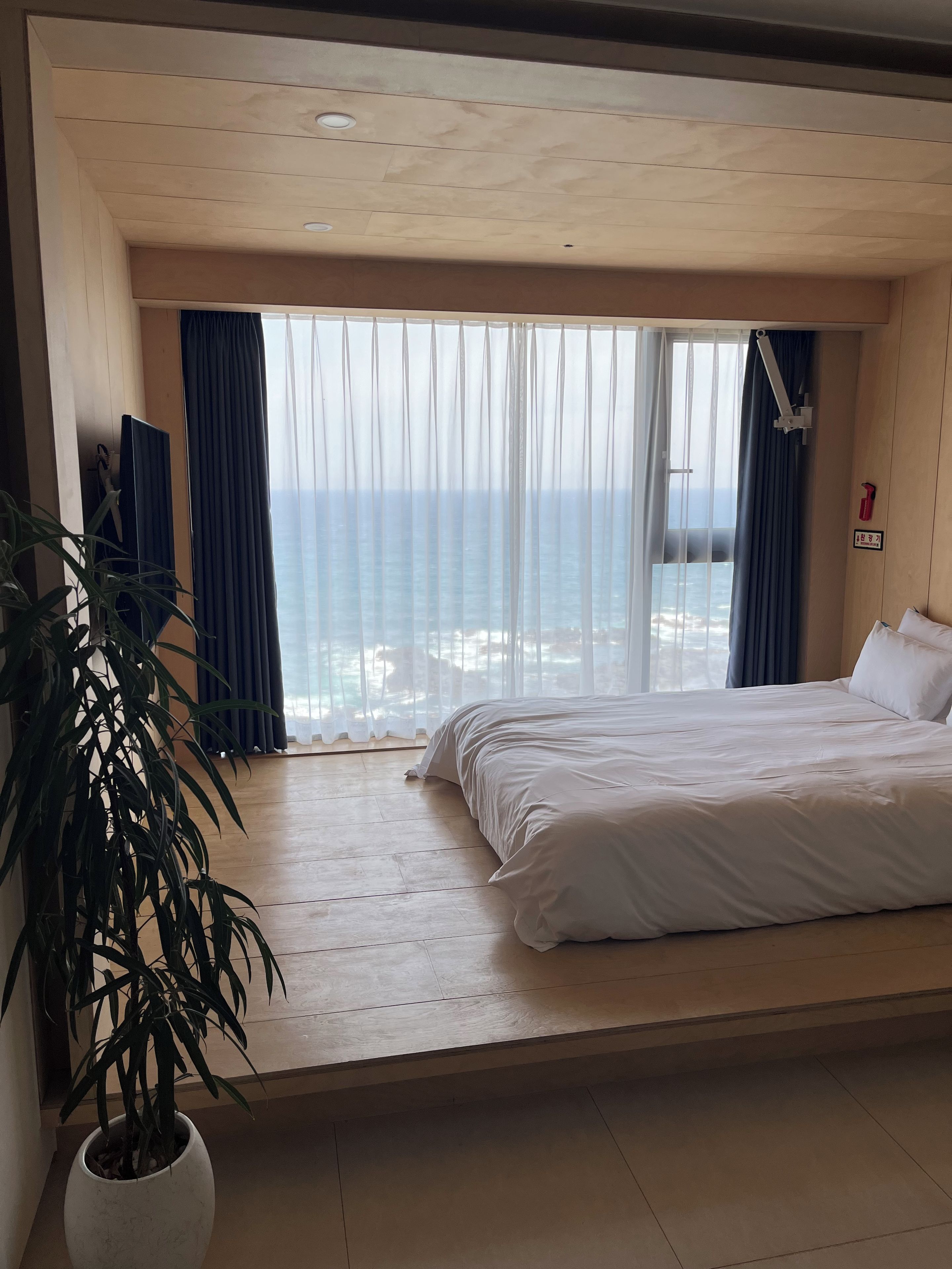 Quarto de hotel com cama, planta em vaso e vista para o mar.