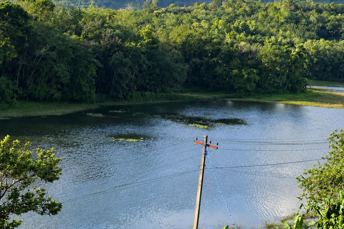 Vista para o lago