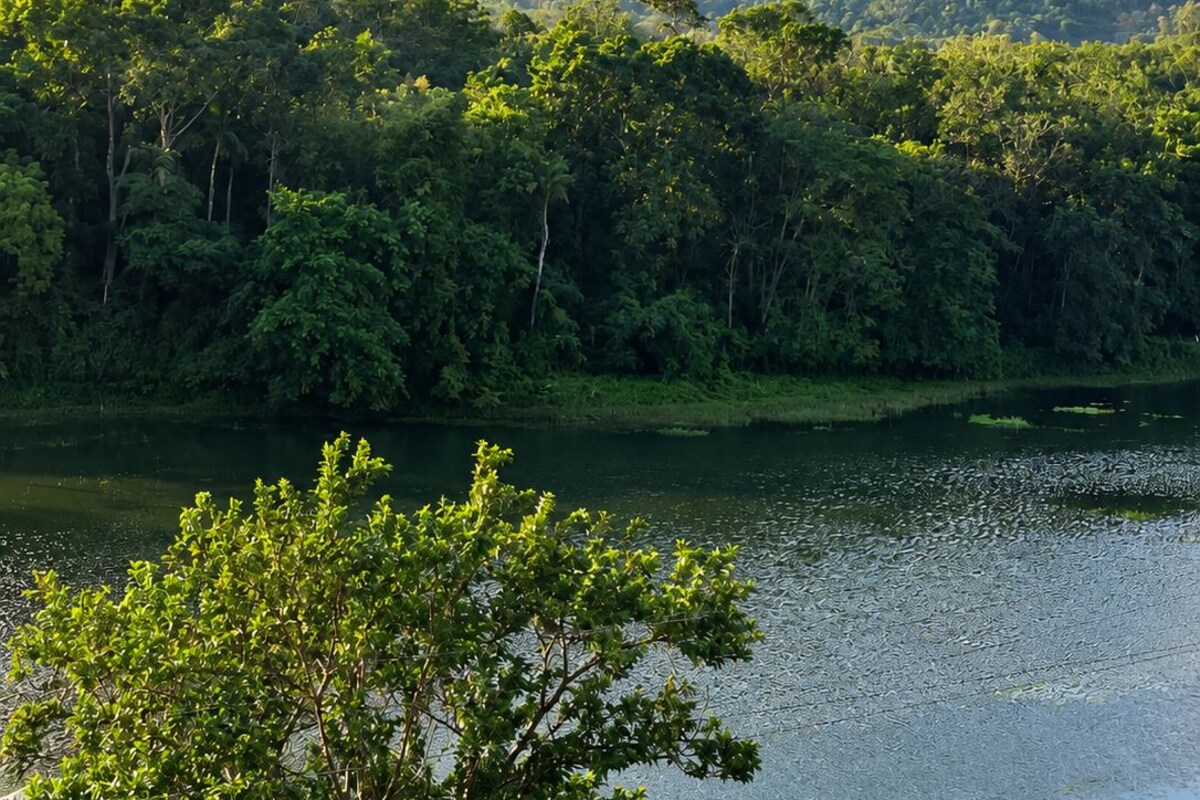 Vista para o lago