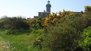 Um farol com torre e base, rodeado por vegetação e flores amarelas.