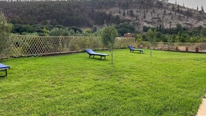 Área externa gramada com duas cadeiras de descanso azuis e um cercado de madeira.