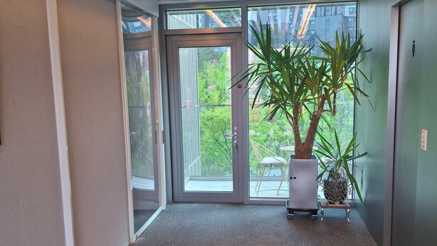 Um interior moderno com piso coberto por carpete, uma grande planta em vaso e uma porta de vidro deslizante para uma área externa.