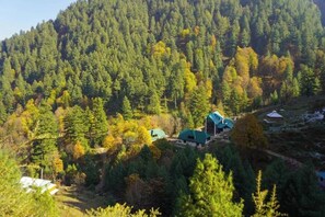 Uma área arborizada com um pequeno edifício e telhado verde.
