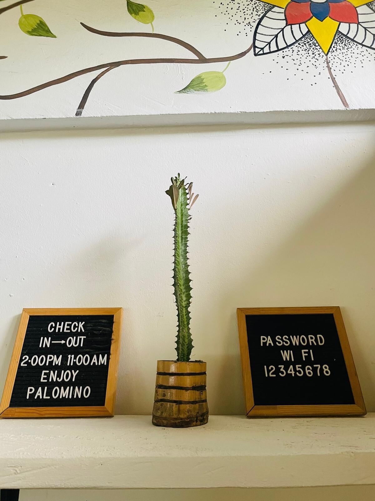 Um cacto em vaso de madeira sobre uma prateleira com duas placas emolduradas, uma indicando horários de check-in/check-out e outra exibindo uma senha.