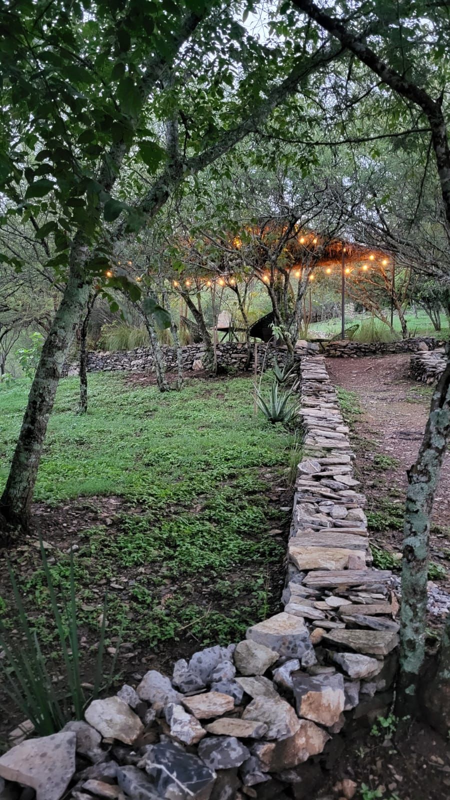 Caminho de pedra serpenteando por um jardim com árvores e um muro de pedra.