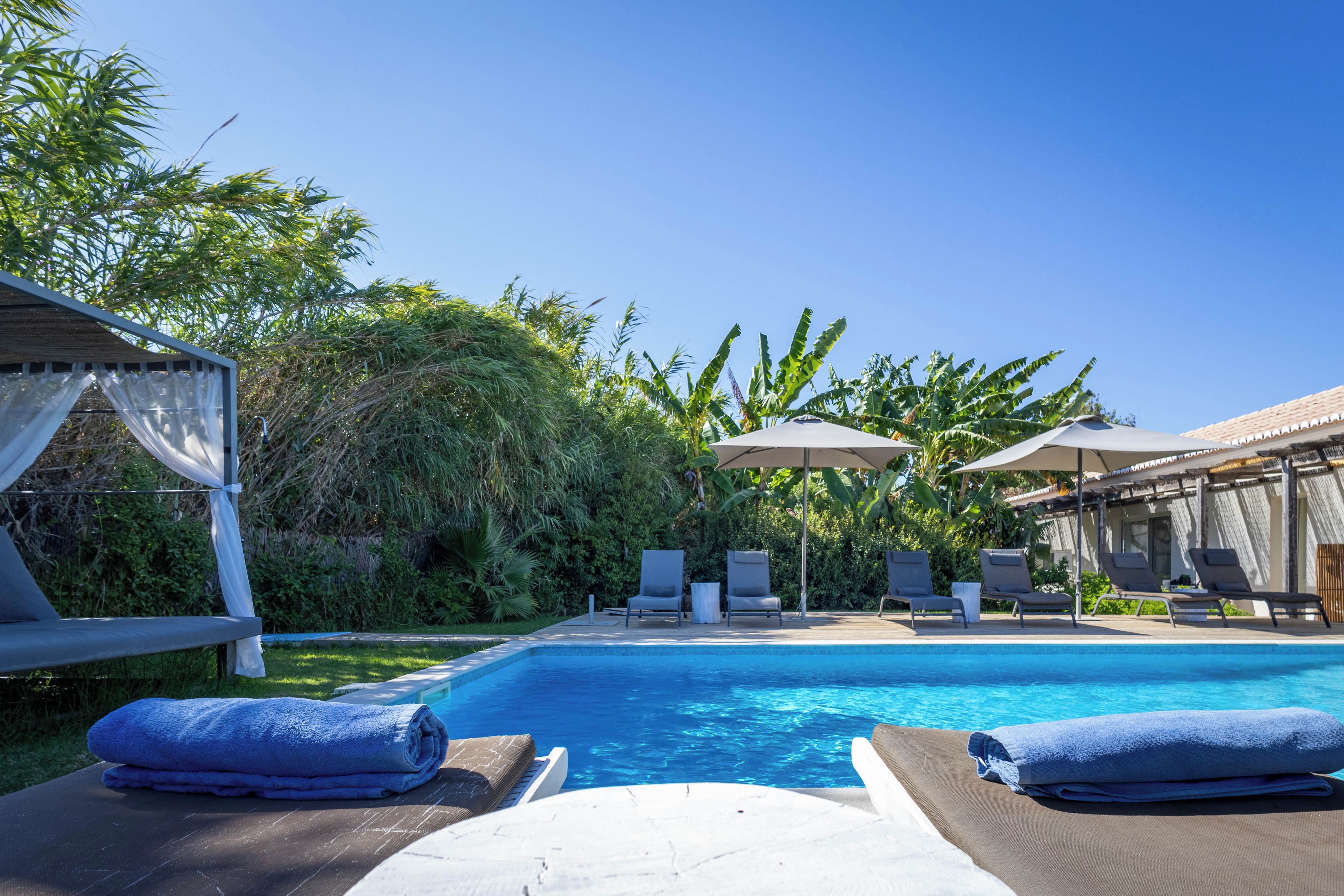 Piscina com espreguiçadeiras e guarda-sóis, cercada por vegetação exuberante.