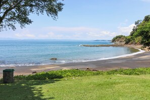 Uma praia com céu claro, águas calmas e um primeiro plano com grama.