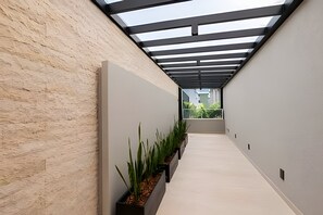 Corredor iluminado por um claraboia, com plantas em vasos e vista para o verde lá fora.