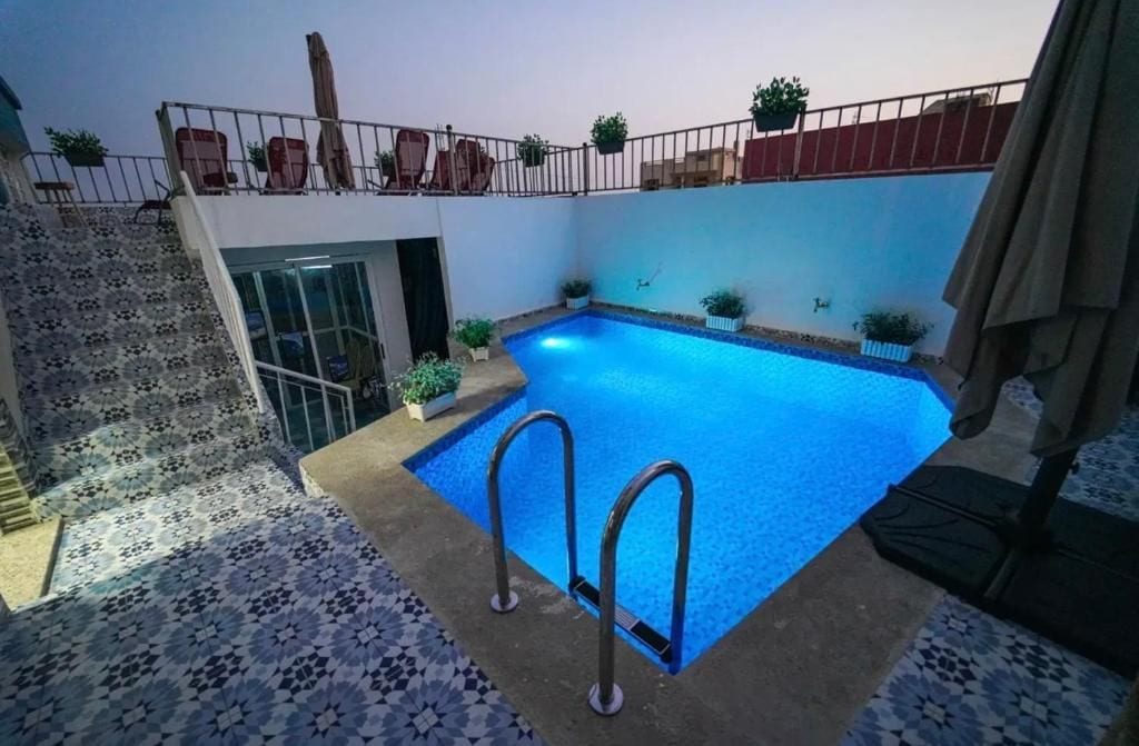 Piscina no terraço com estrutura de vidro, rodeada por plantas em vasos e móveis de exterior.