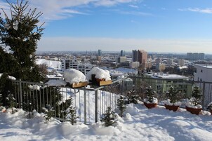Telhado nevado com vasos de plantas e paisagem urbana ao fundo.