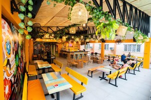 Um restaurante com bancos e mesas amarelas, área de bar e plantas penduradas.