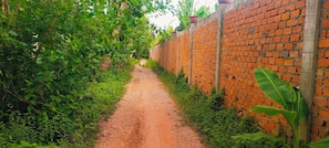Um caminho de terra estreito, ladeado por vegetação exuberante e um muro de tijolos.
