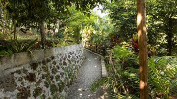 Uma trilha no jardim com um muro de concreto, cercada por diversas plantas e árvores.