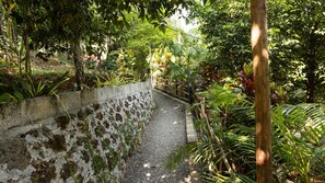 Uma trilha no jardim com um muro de concreto, cercada por diversas plantas e árvores.