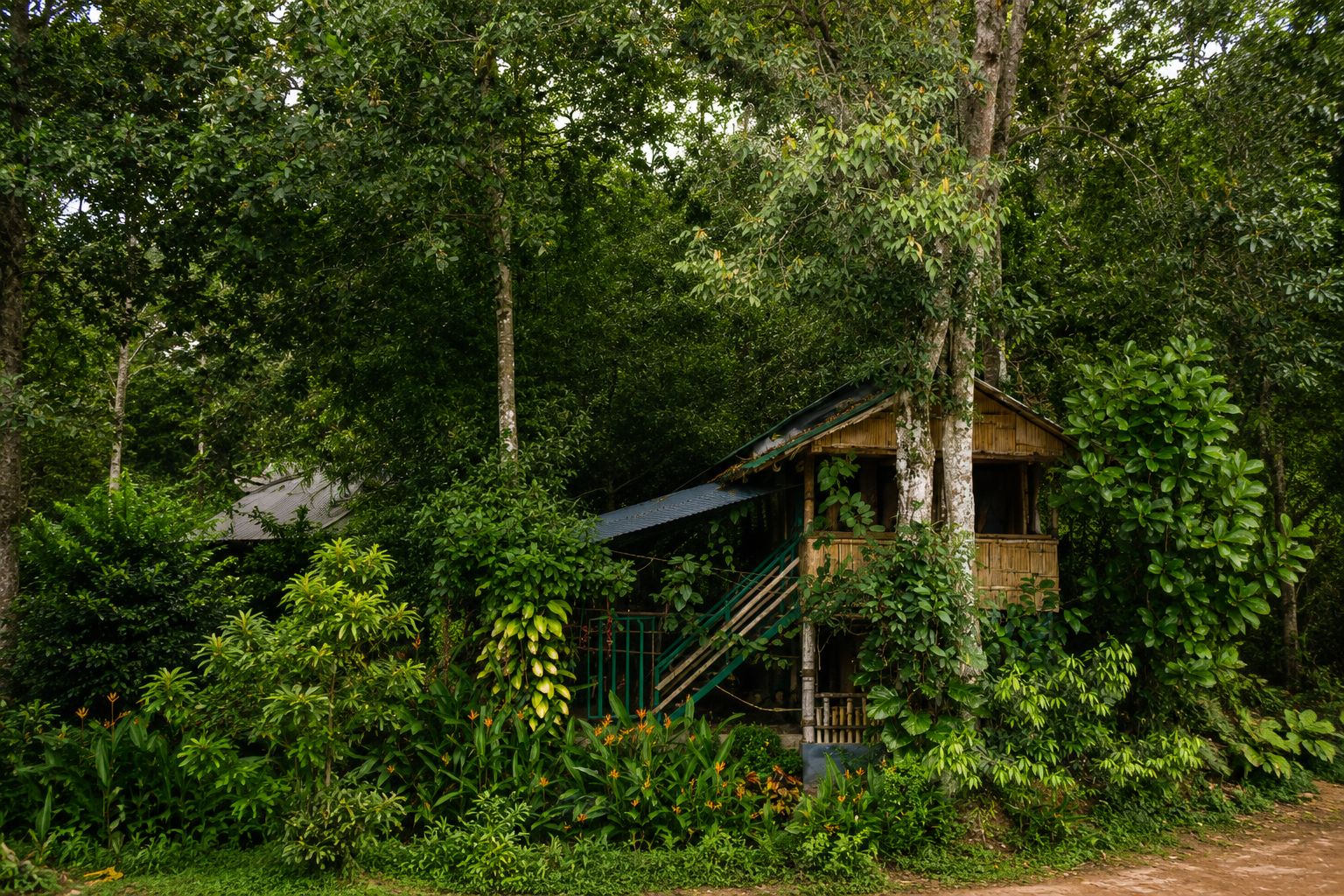 Uma cabana de madeira rodeada por uma floresta densa, com uma escadaria a levar à entrada.