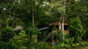 Uma cabana de madeira rodeada por uma floresta densa, com uma escadaria a levar à entrada.