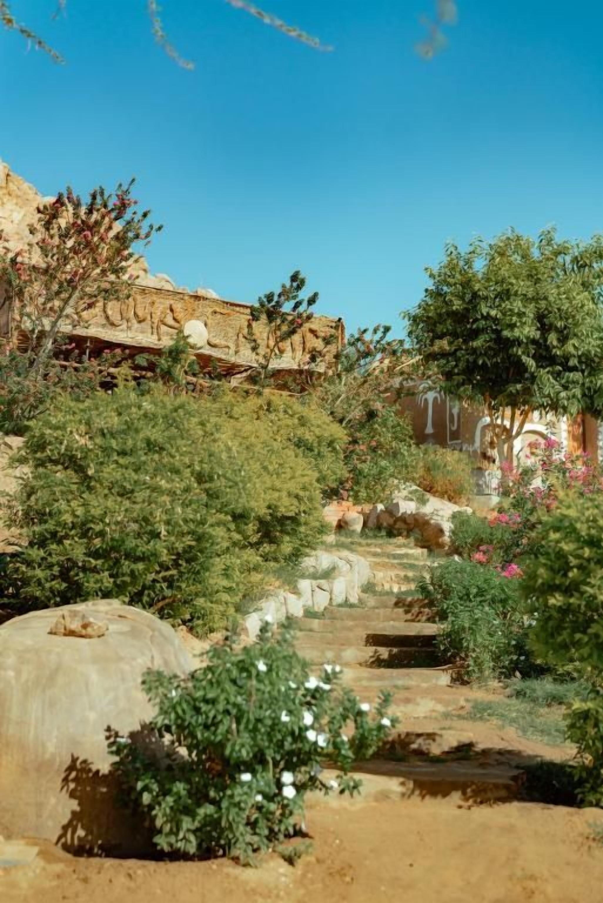 Um jardim com caminho de pedra, diversas plantas e um edifício com detalhes entalhados.