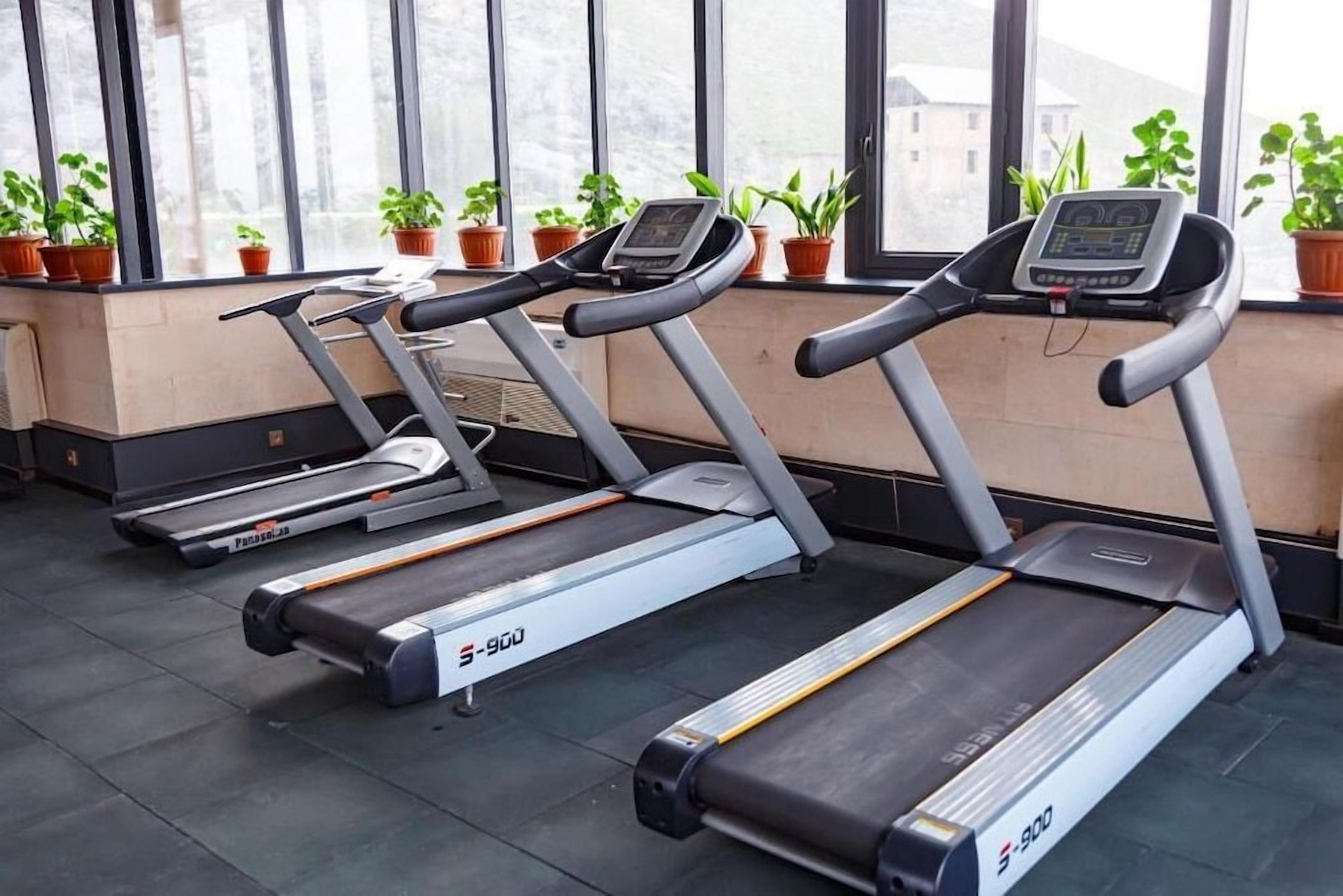 Duas esteiras de corrida S-900 numa academia com grandes janelas e plantas em vasos.